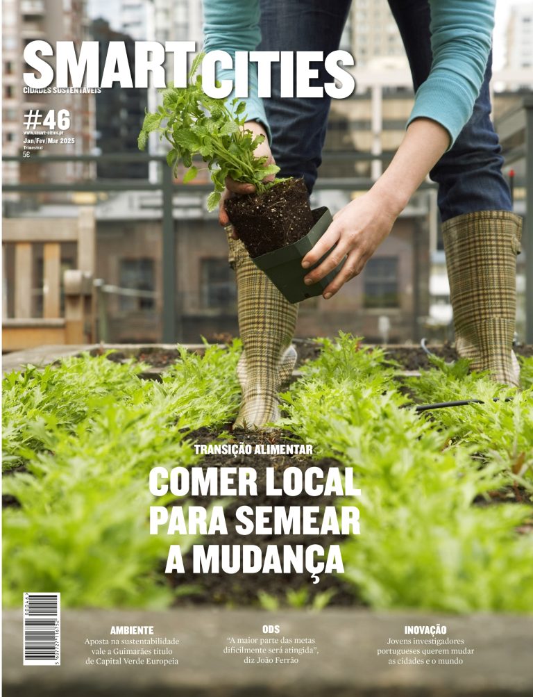 Smart Cities - Cidades Sustentáveis